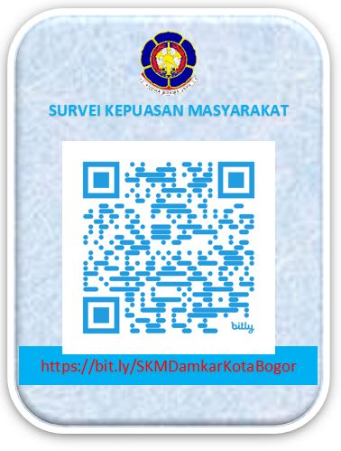 Pengunjung Website